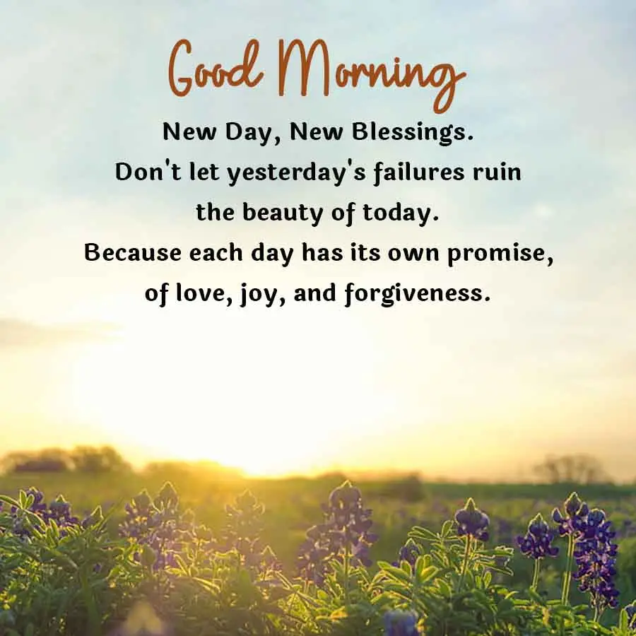 Heartfelt Good Morning Wishes with Images to Share and Inspire
